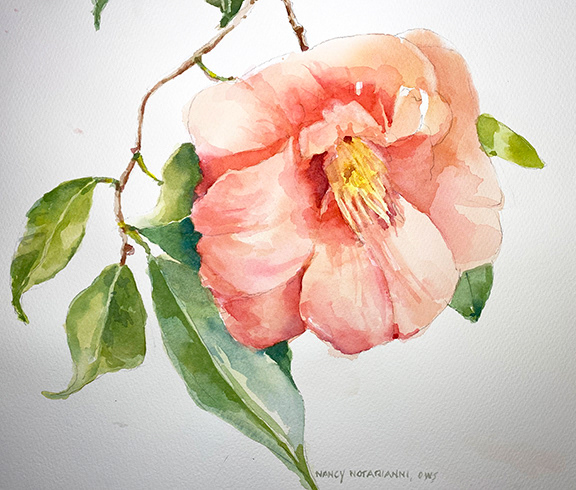 Nancy Notarianni - Watercolor Classes