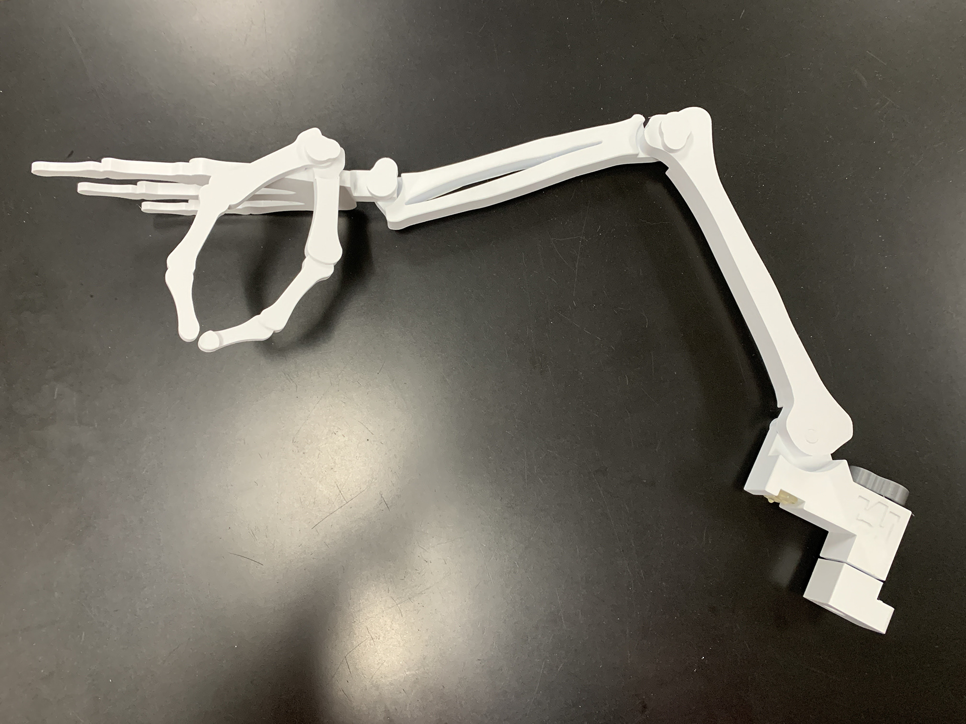 Matthew Wigdahl - Helping Hand Skeleton Arm