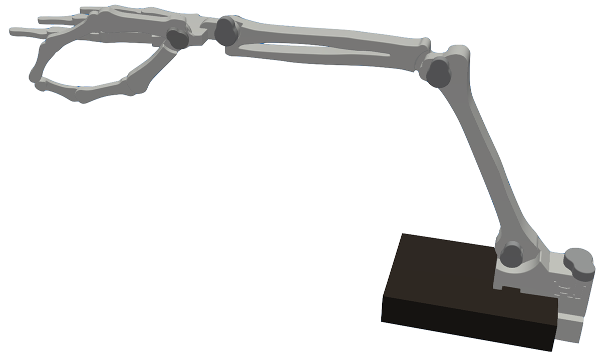 Matthew Wigdahl - Helping Hand Skeleton Arm