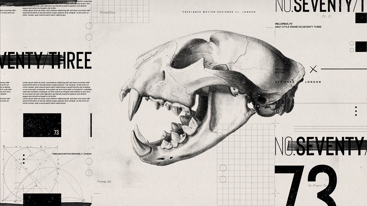 U.K Freelance Motion Design and Animation - DAILY STYLE FRAMES