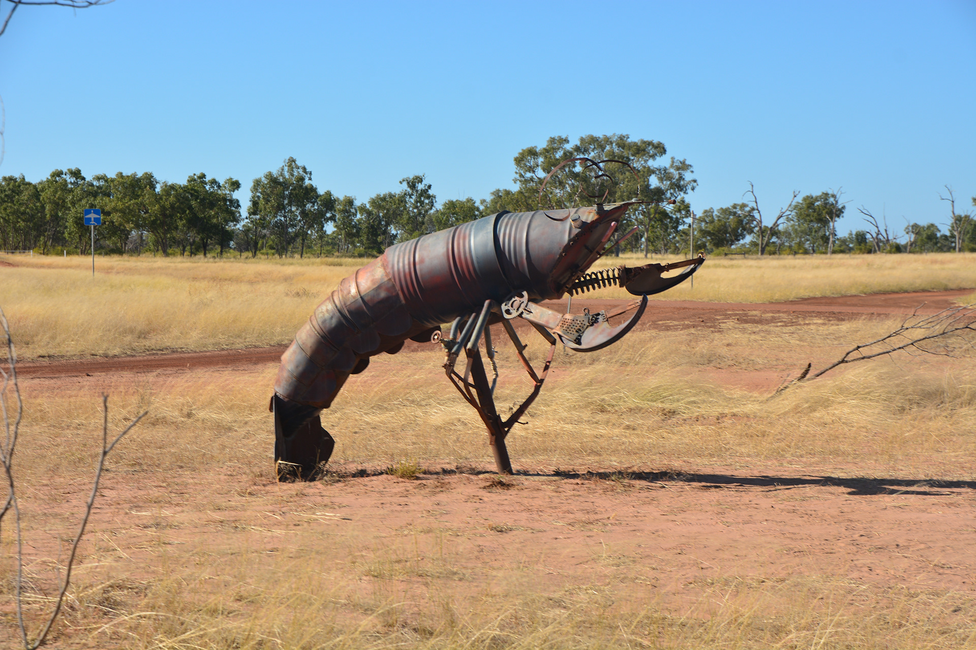 RossP IMAGES - Lakes Tour Qld 2021