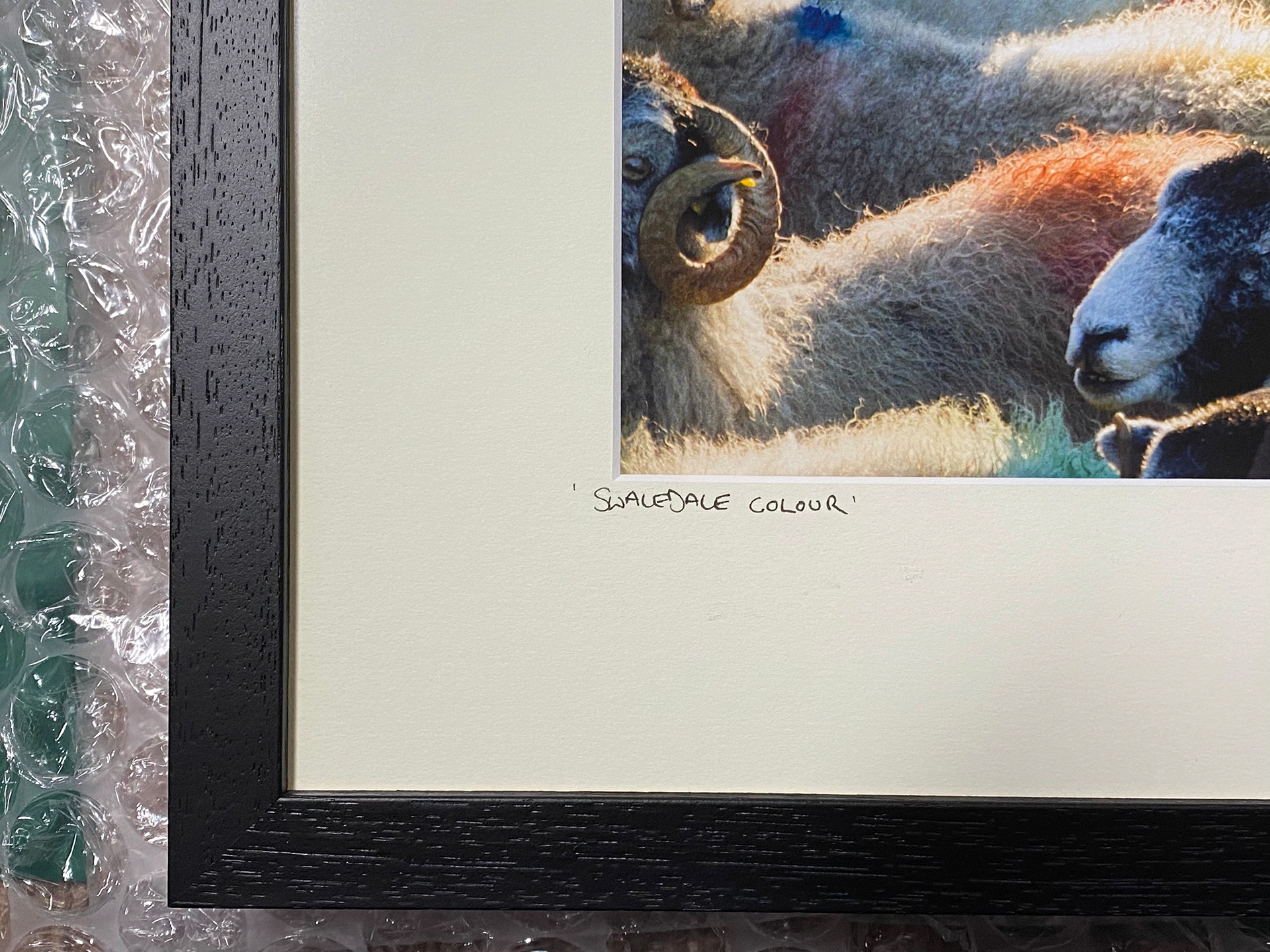 Scenicview Gallery - Mounting & Framing