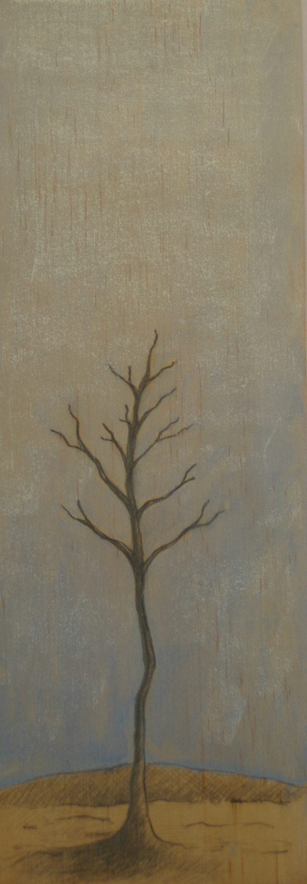 Jane Button - Gallery - Past works