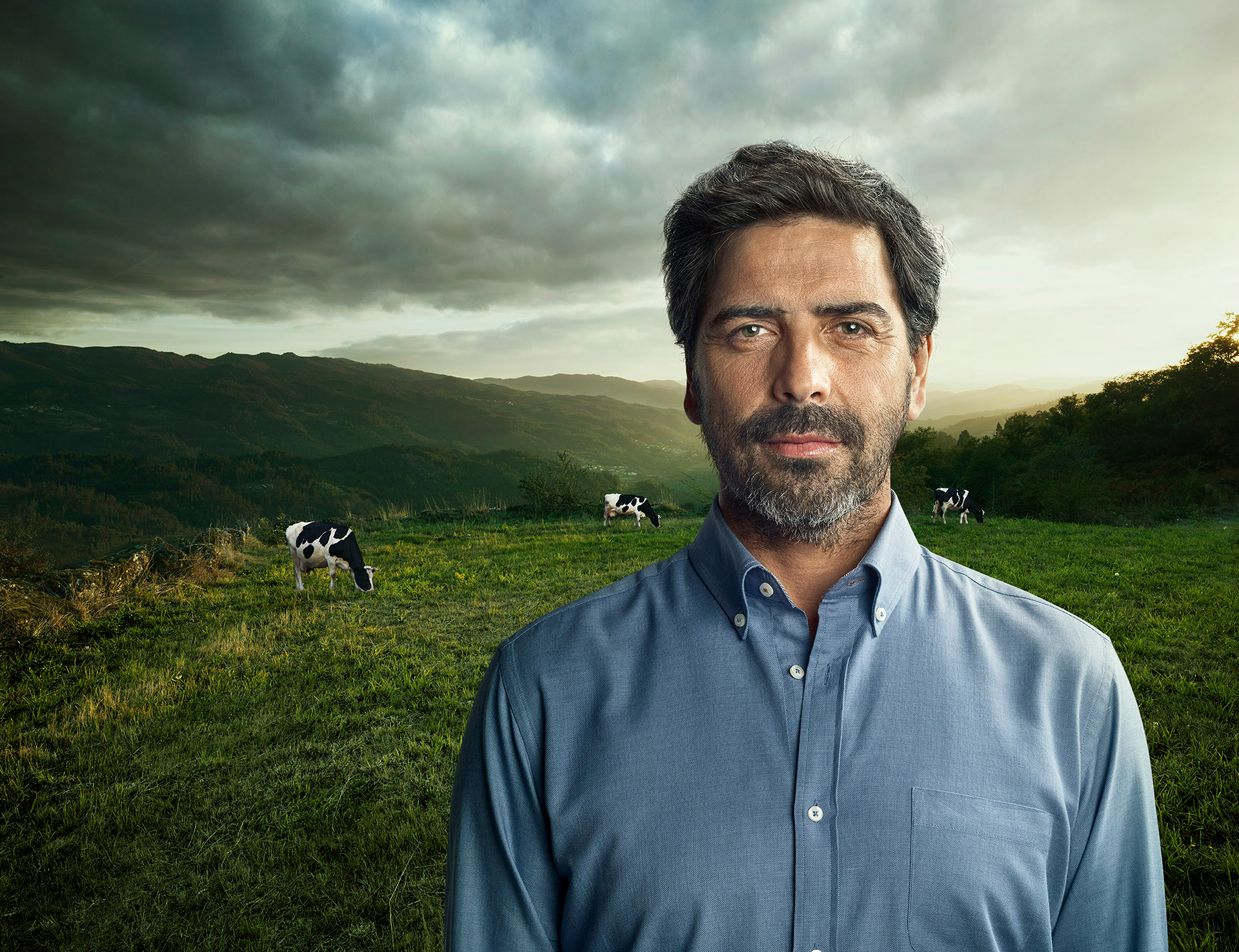 Raw Studio - Advertising