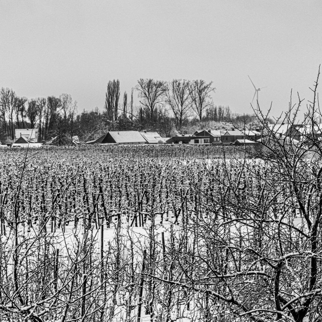 Joseph Lacroix - 10 JANUAI 2026: WINTER