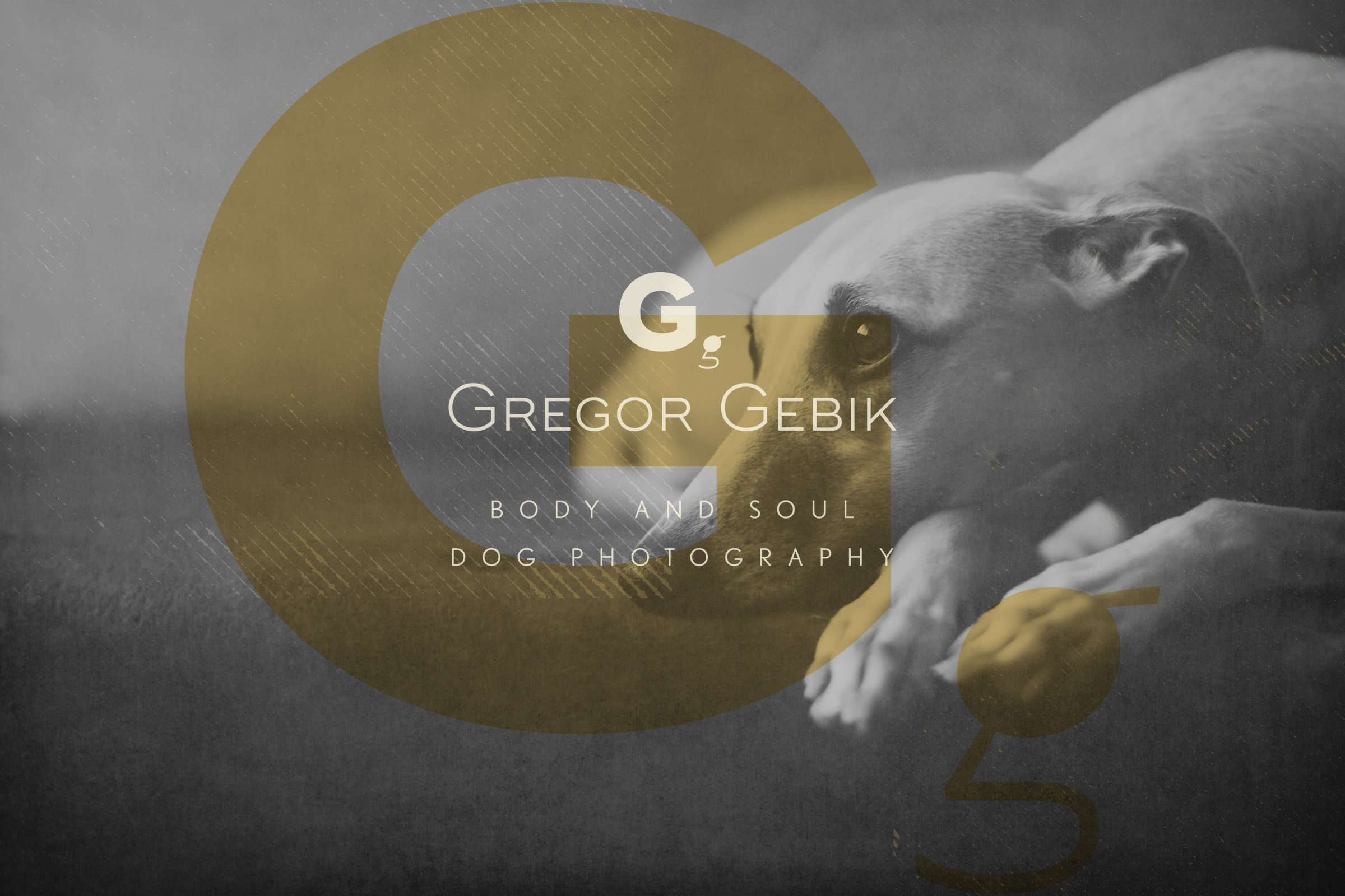 Gregor Gebik | Body and Soul Dog Photography