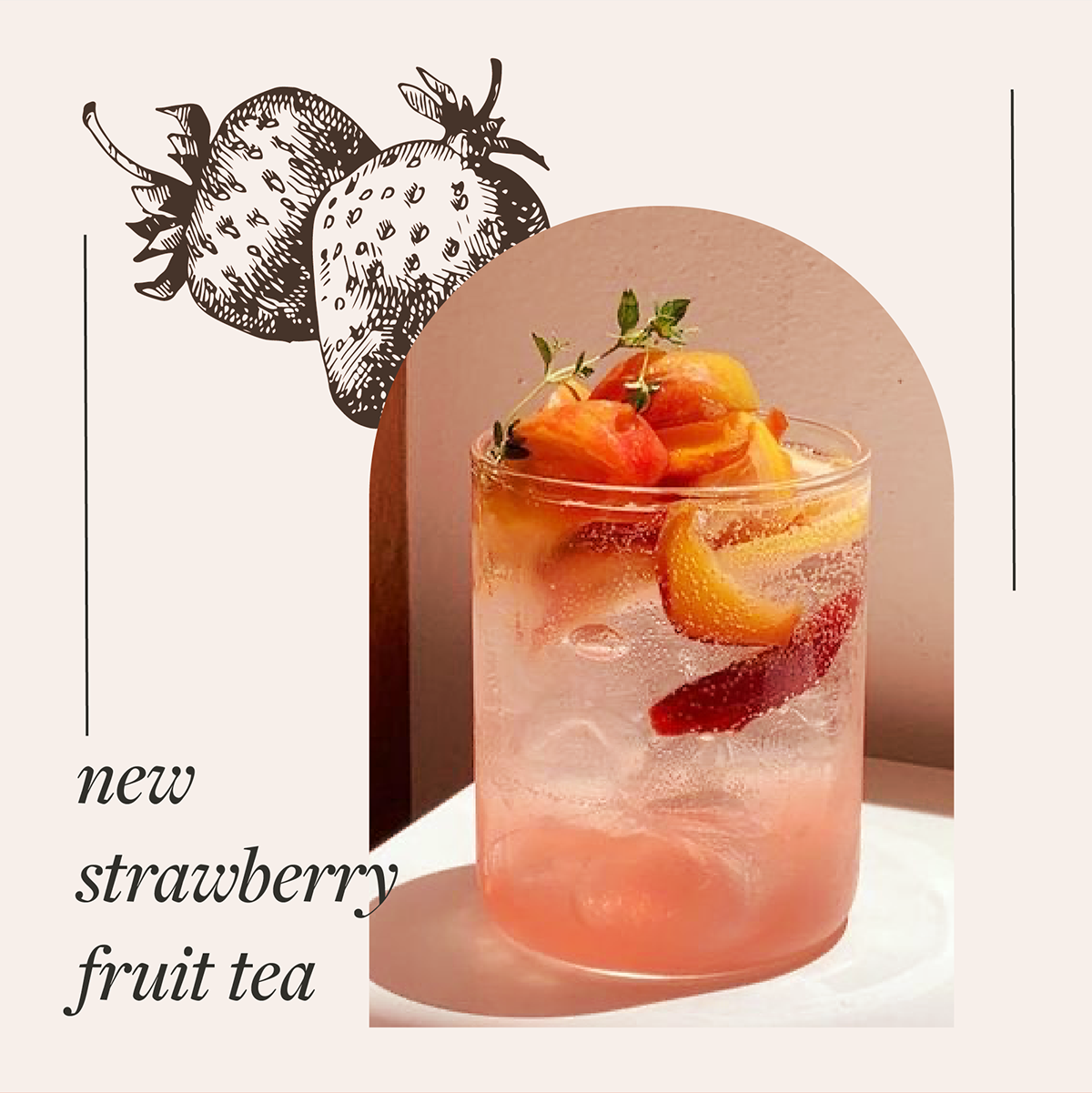 Made by Haley Design- Brand Designer - Fruitea