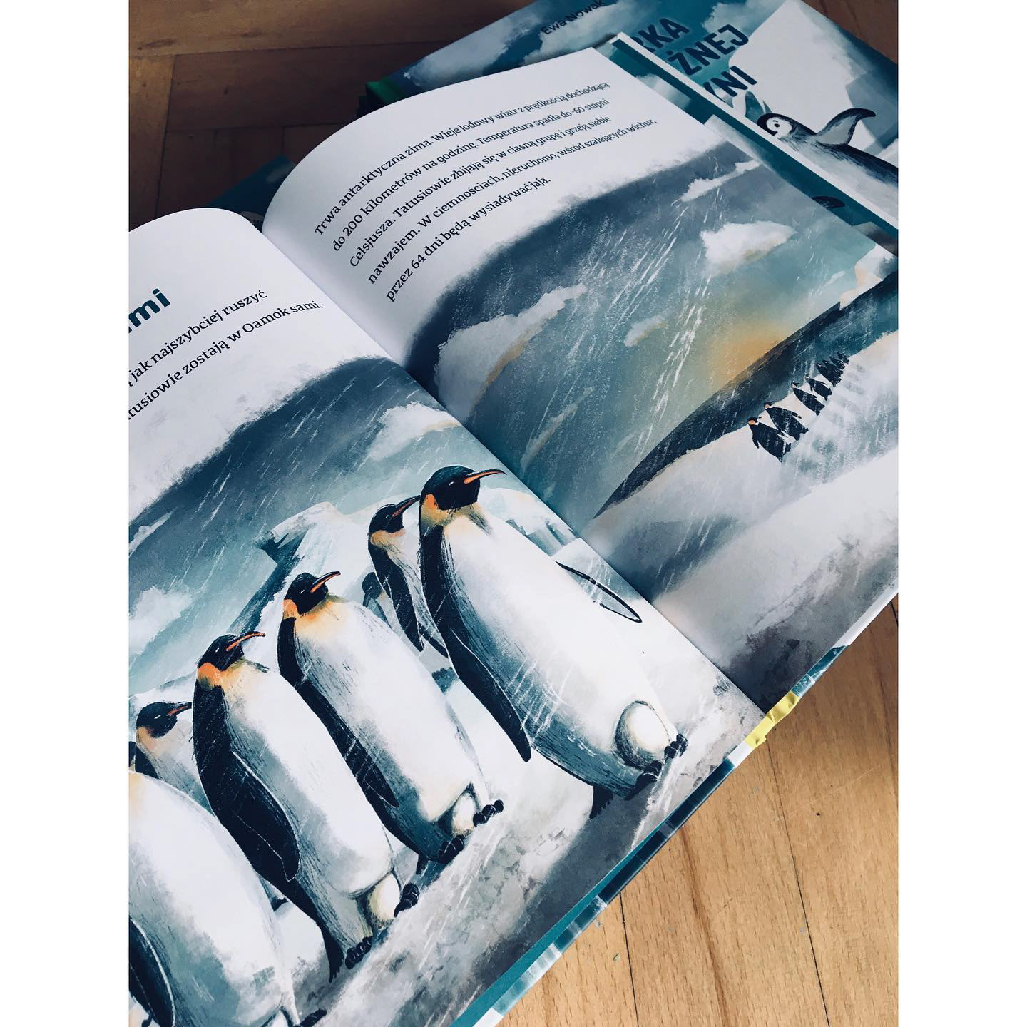 Anna Lazowska Illustrations - ELWIRKA NA ŚNIEŻNEJ PUSTYNI