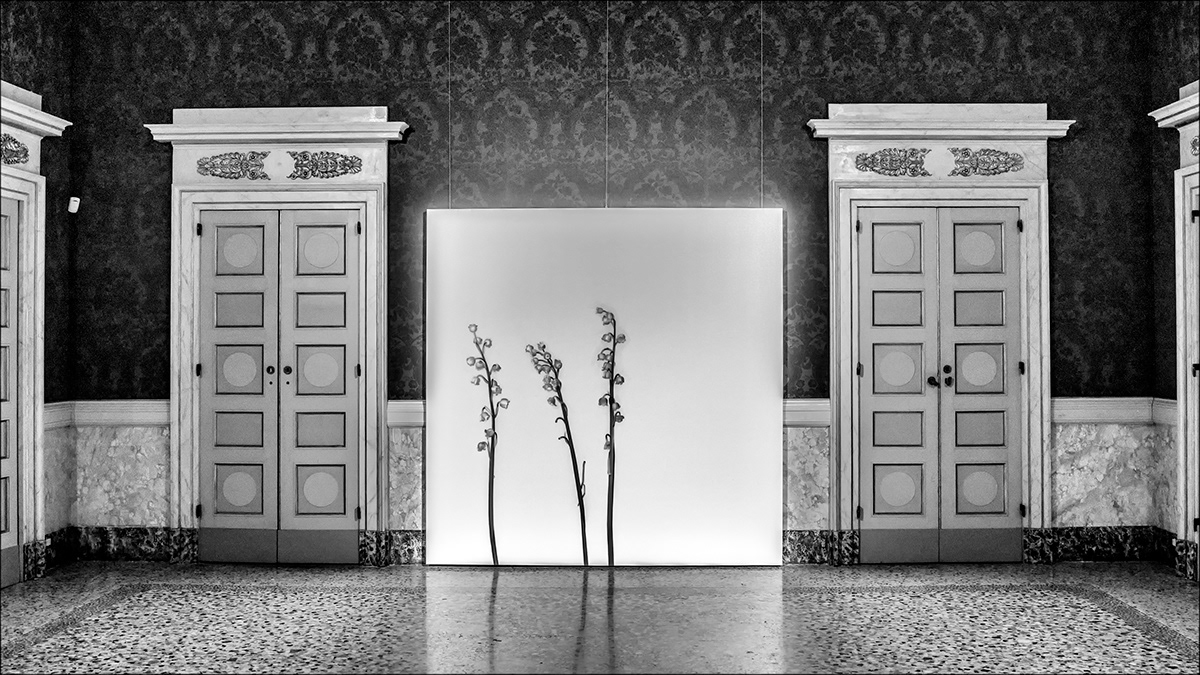 walking in art - Palazzo Reale Transformer