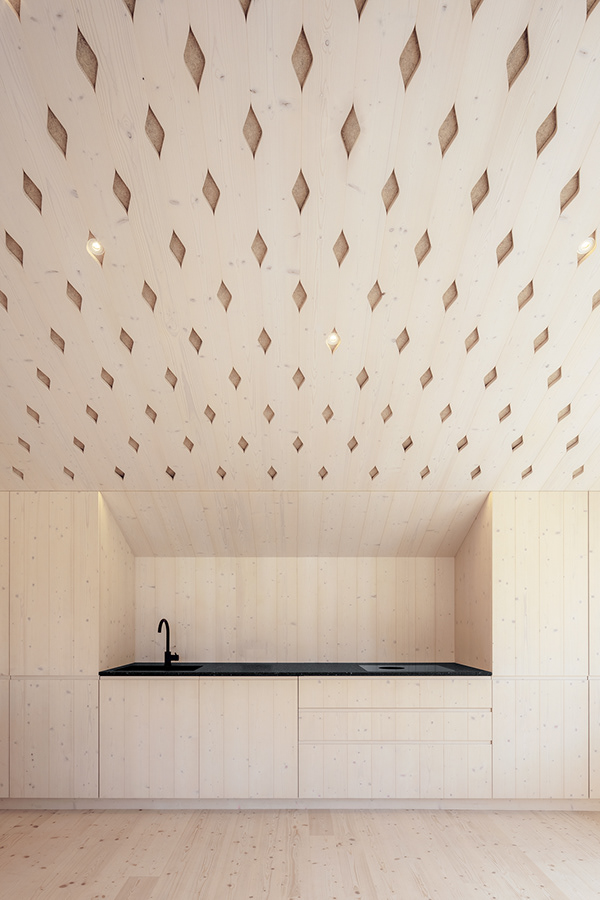 PEDEVILLA ARCHITECTS . - ATTO Suites, Innichen (I)