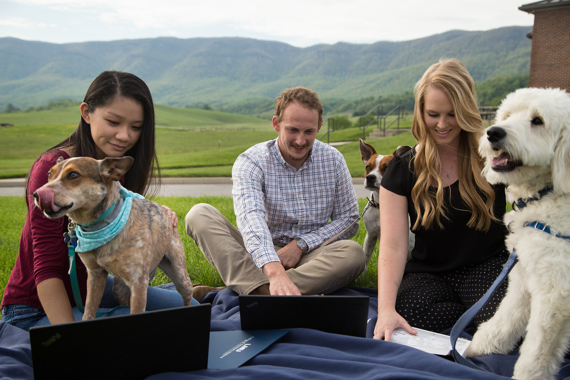 LMU Master of Veterinary Biomedical Sciences Program - About