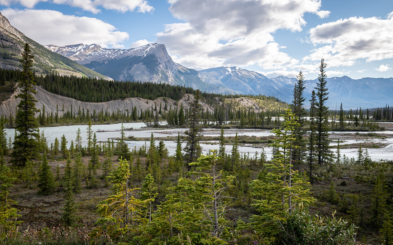 Olivera White Photography