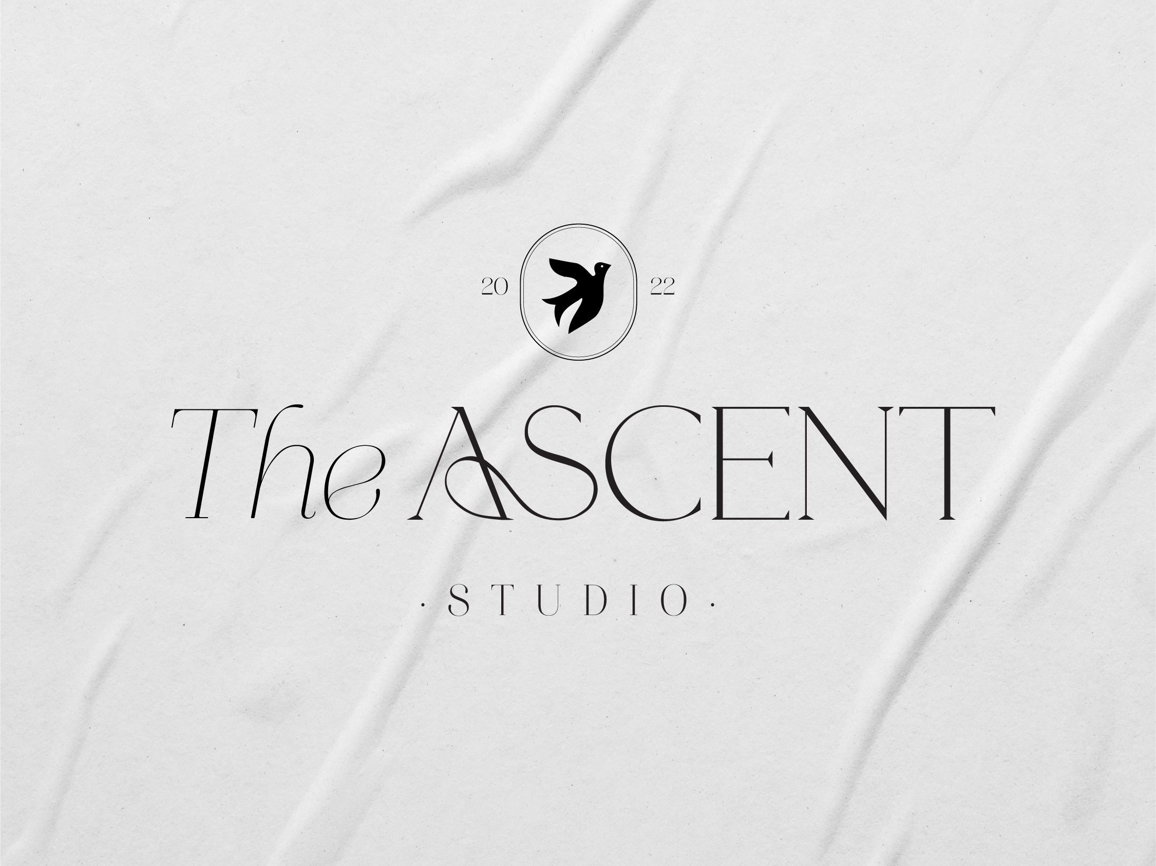 The Ascent Studio