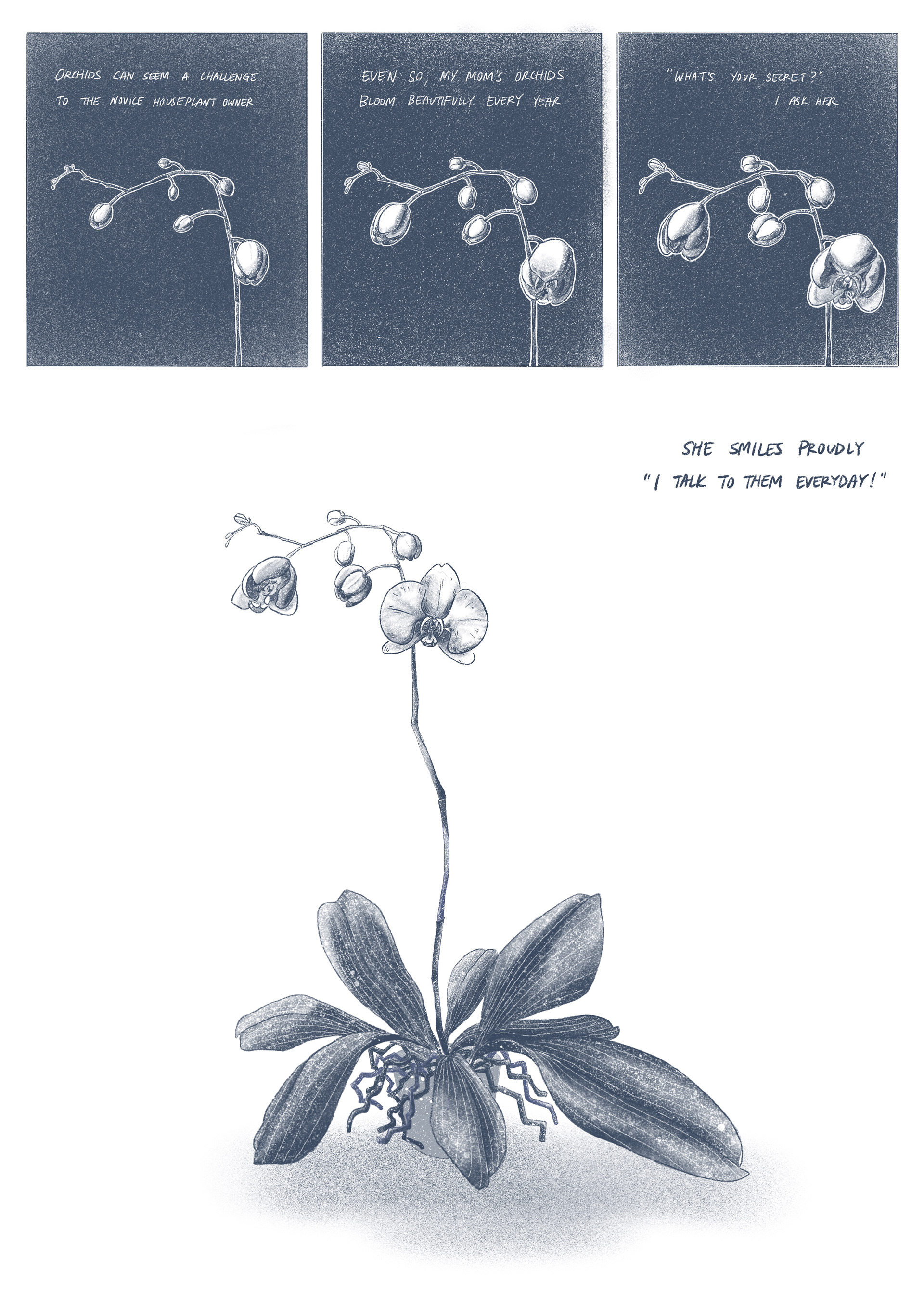 Allison Chan - Orchids (Pt 1)