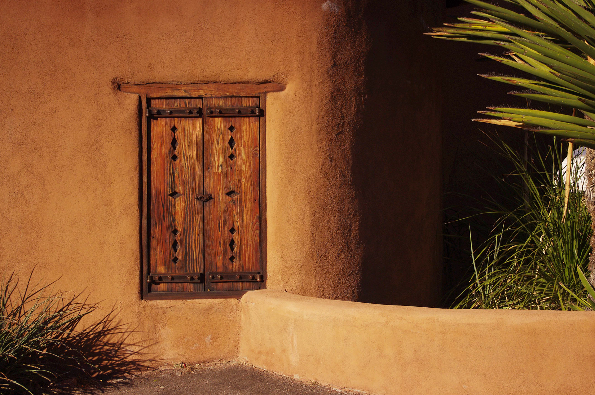 AGAVE PRESS - Magazine