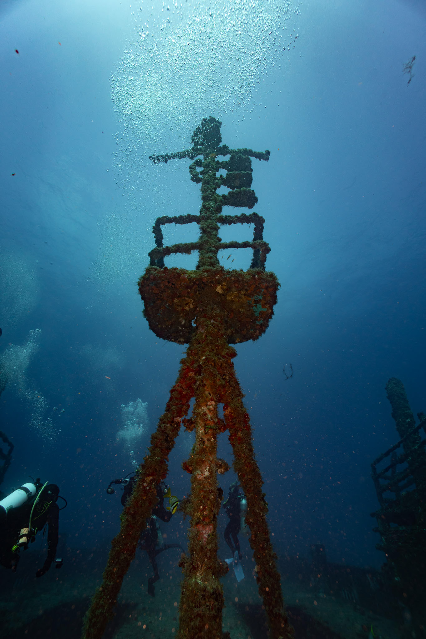 Gabriel Jensen - Plankton