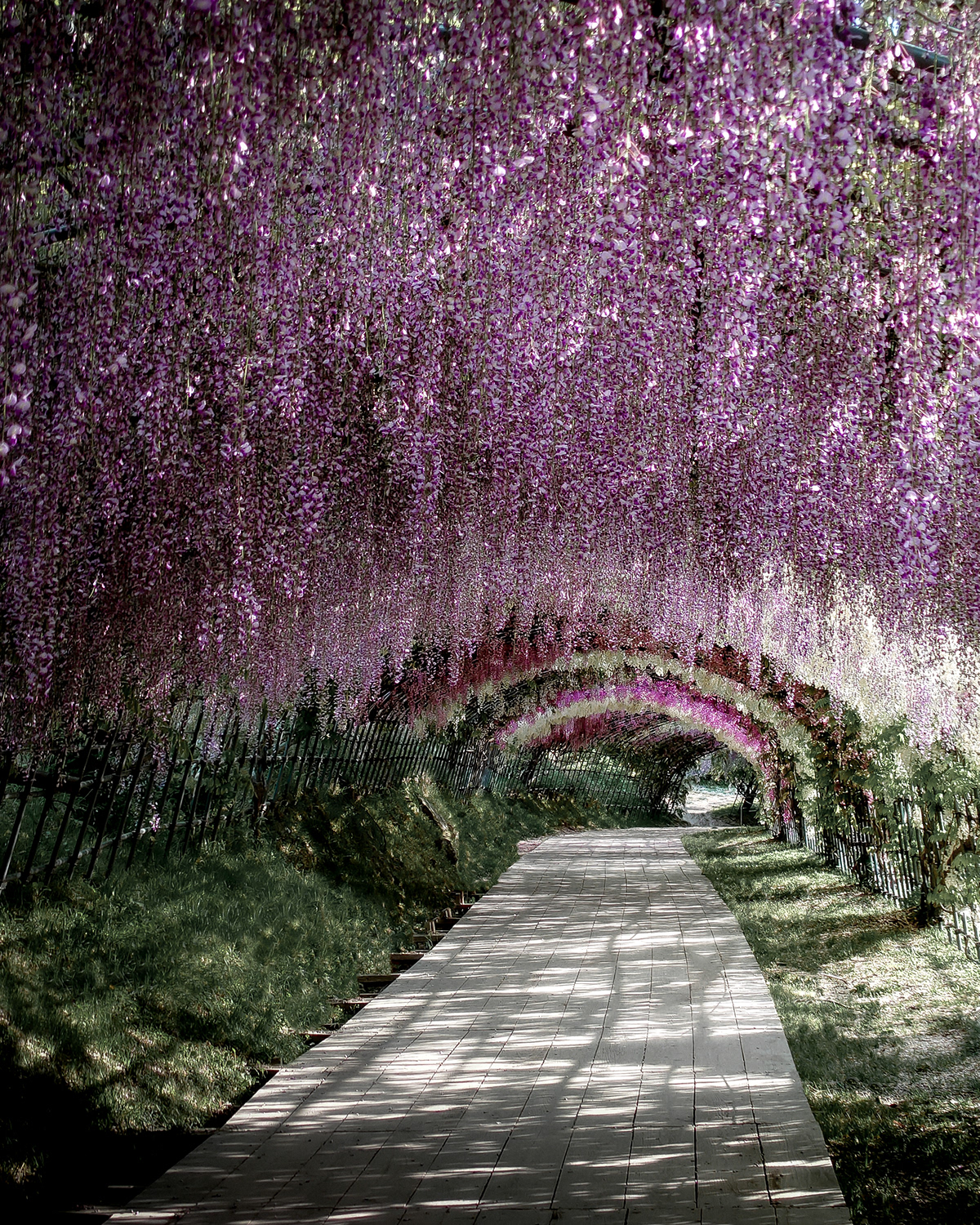 Kohki Yamaguchi - Japan