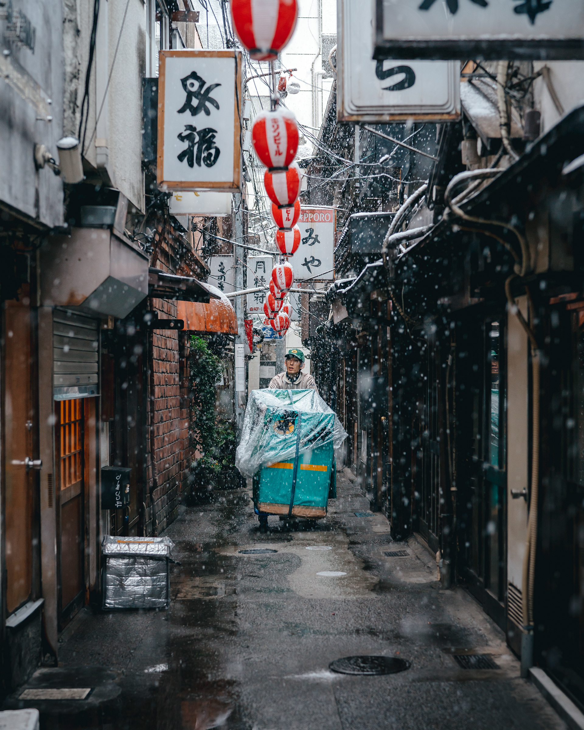 Kohki Yamaguchi - Japan