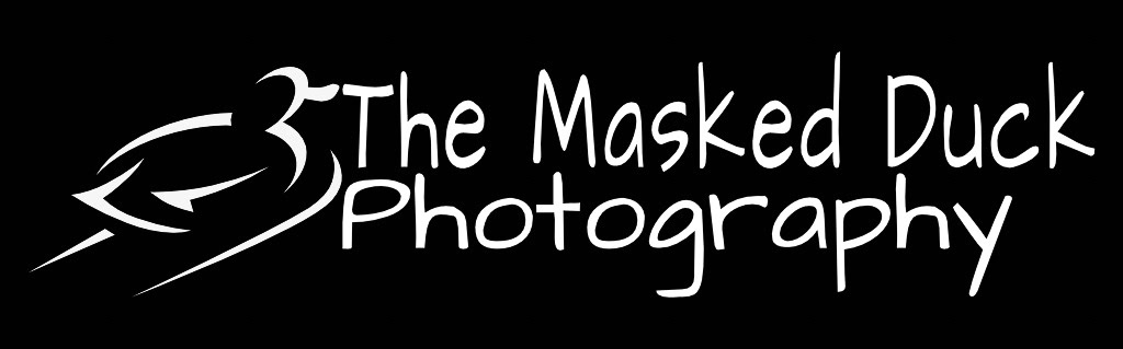 The Masked Duck Photography - Photos