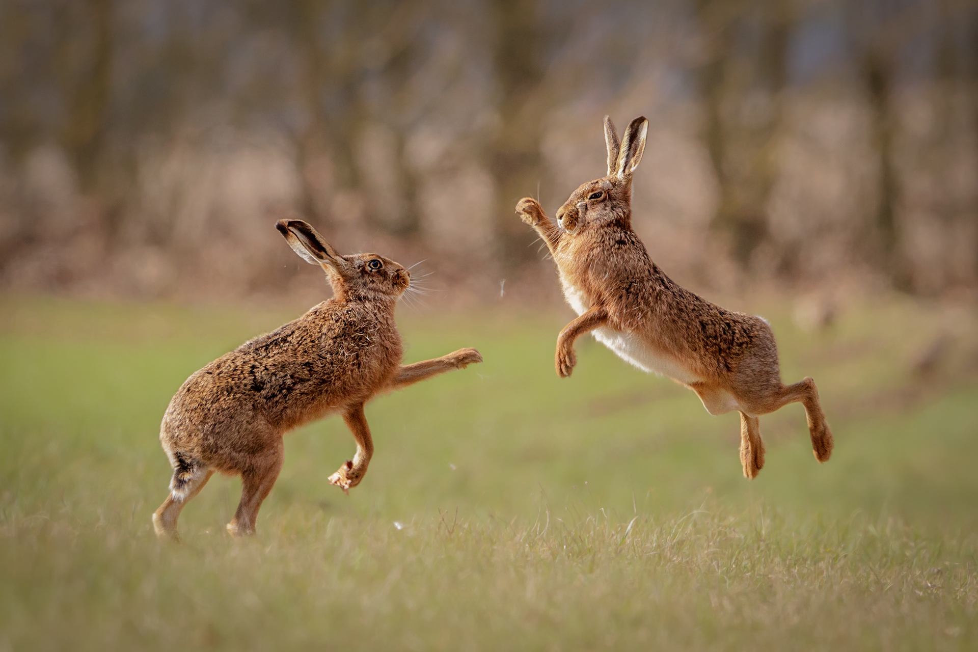 kevin pigney - New Images