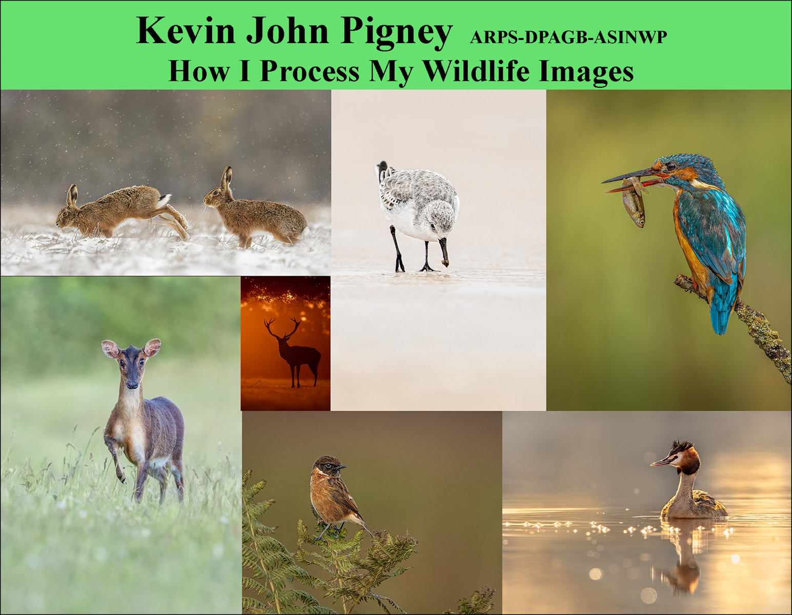 kevin pigney - TUITION AND WORKSHOPS
