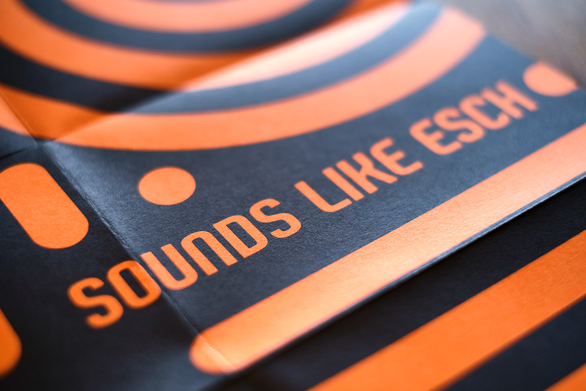 Sacha Rein - Sounds like Esch