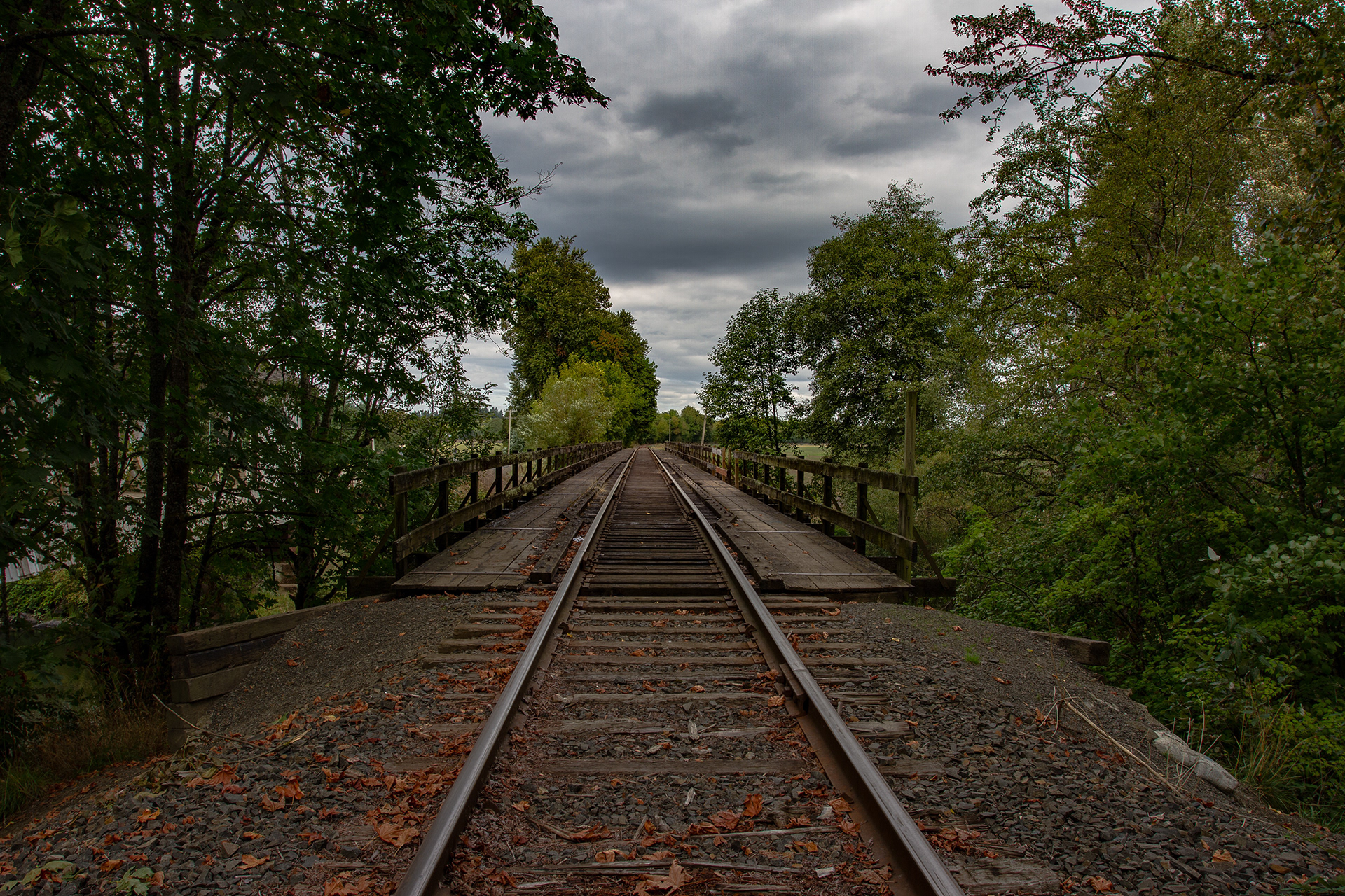 Gary Miller Photography