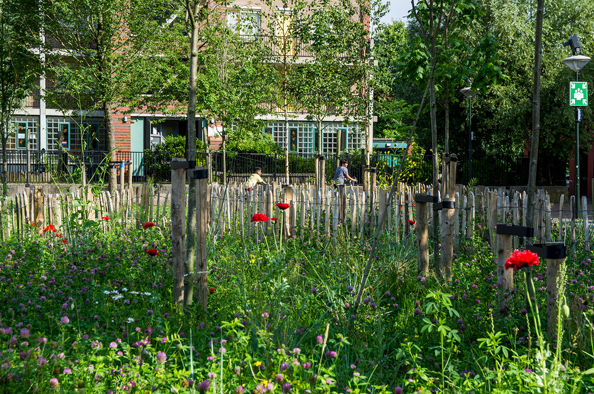 SYLVA - Living Lab 'Urban Symbiosis'