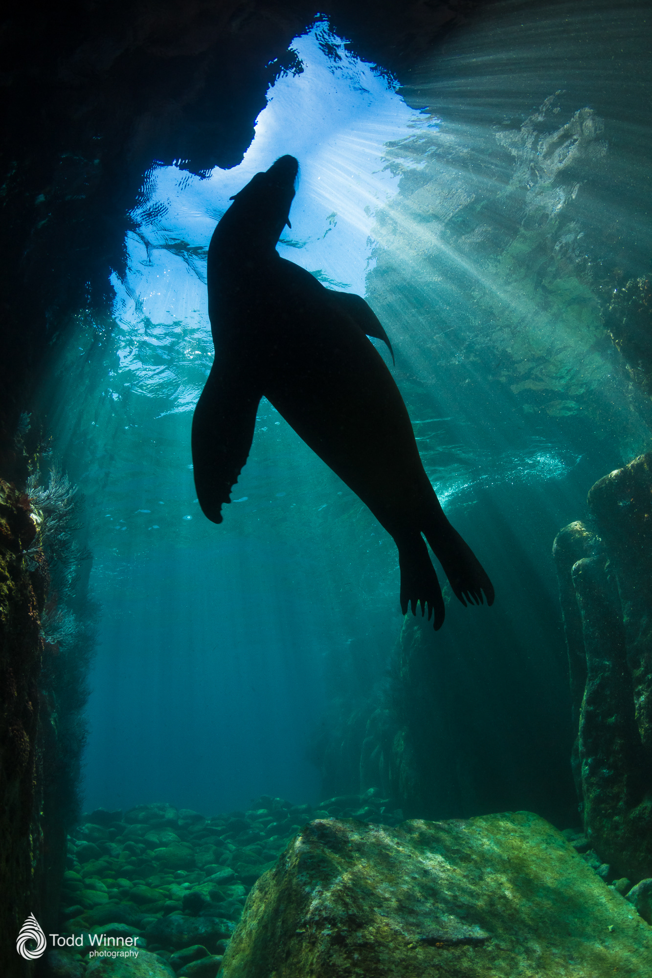 Todd Winner Photography