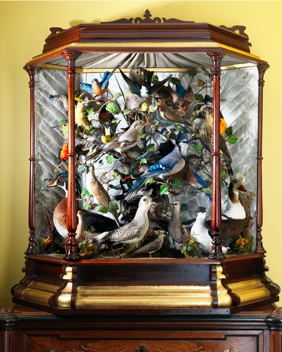 Alan Kolc - Still Life and Tabletop Photos