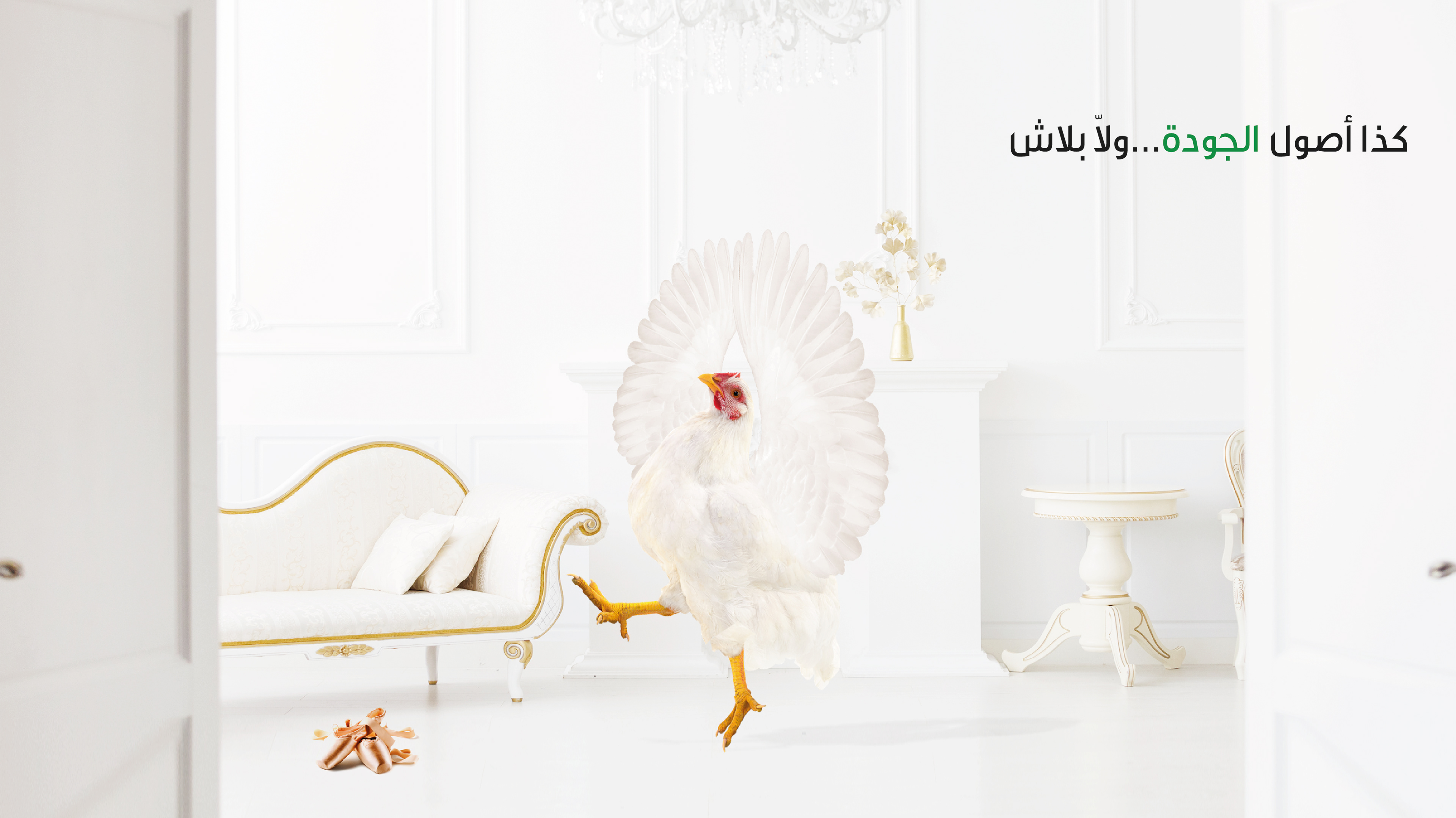 paul labban - Entaj Chicken corporate Teasers