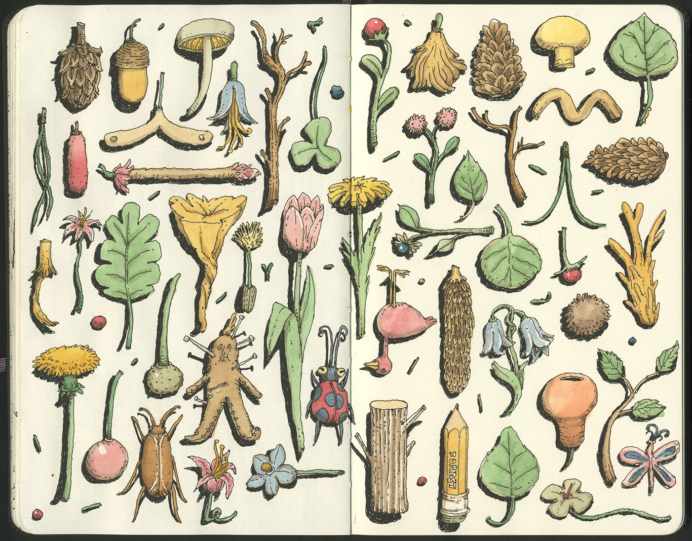 Mattias Adolfsson