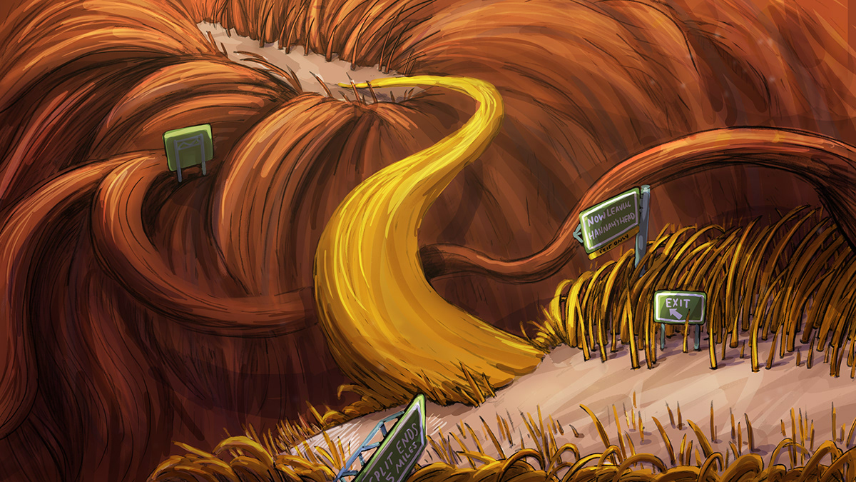 Tim Probert - Vis Dev 2016 - 2017