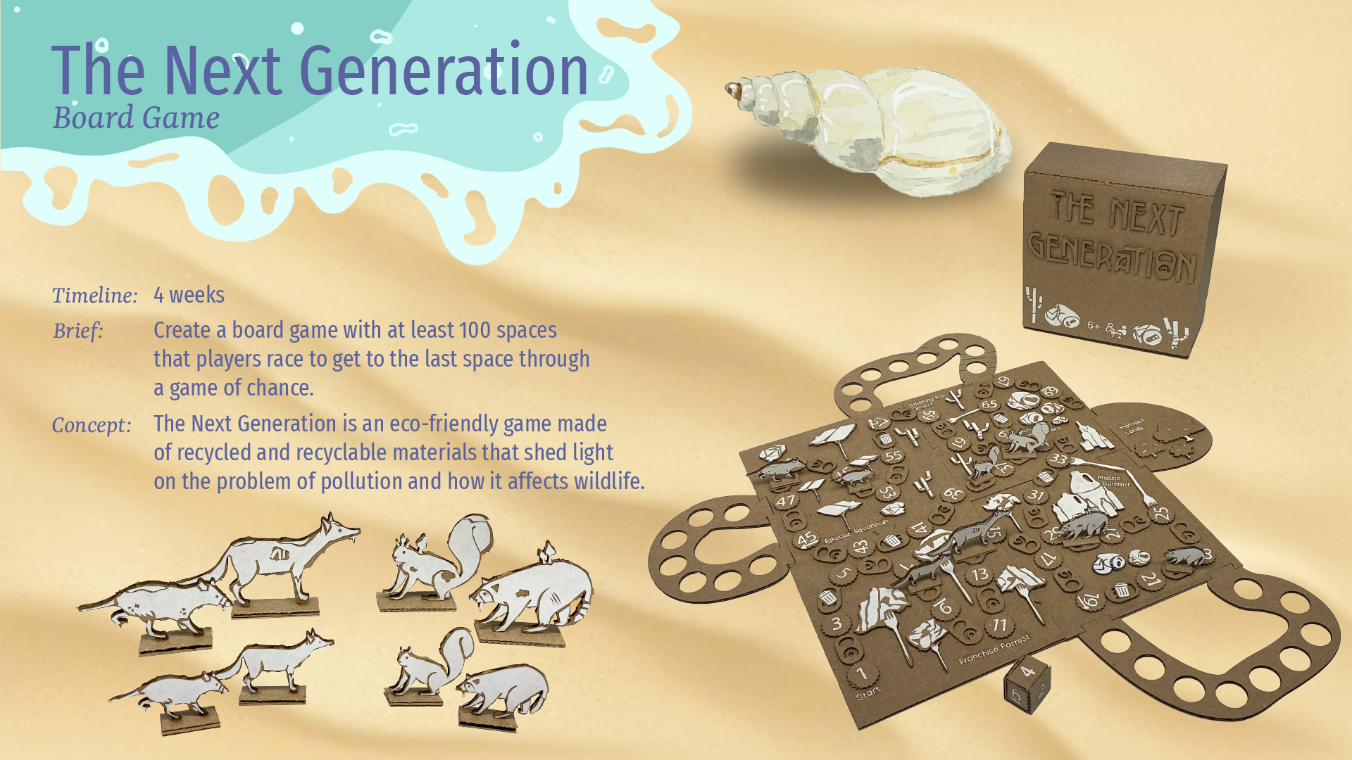 Riley Judd - Shell Collection 2022-2023 Portfolio