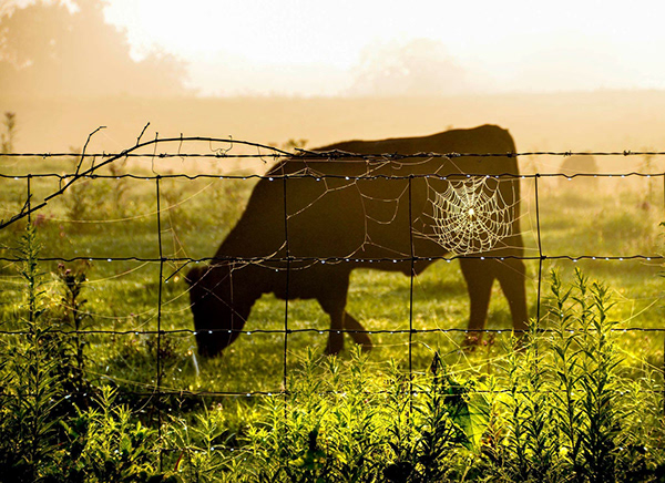 Trace Deaton - Landscape Photography Portfolio