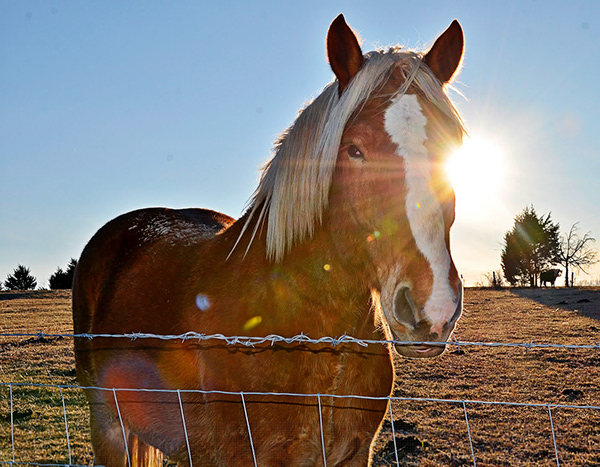 Trace Deaton - Landscape Photography Portfolio