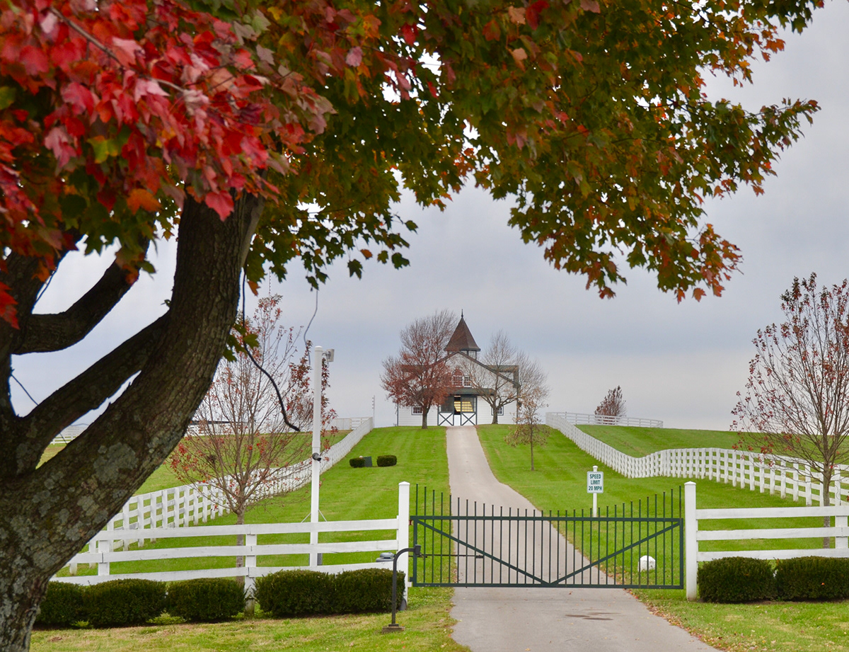 Trace Deaton - Landscape Photography Portfolio