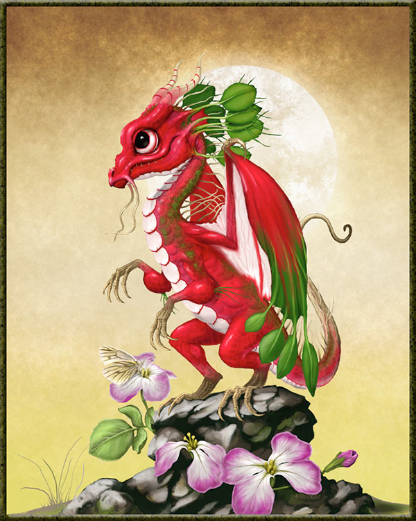 Stanley Morrison - Garden Dragons