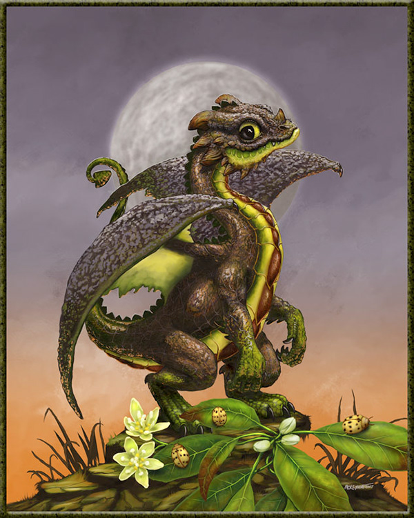 Stanley Morrison - Garden Dragons