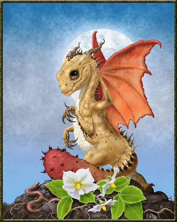 Stanley Morrison - Garden Dragons