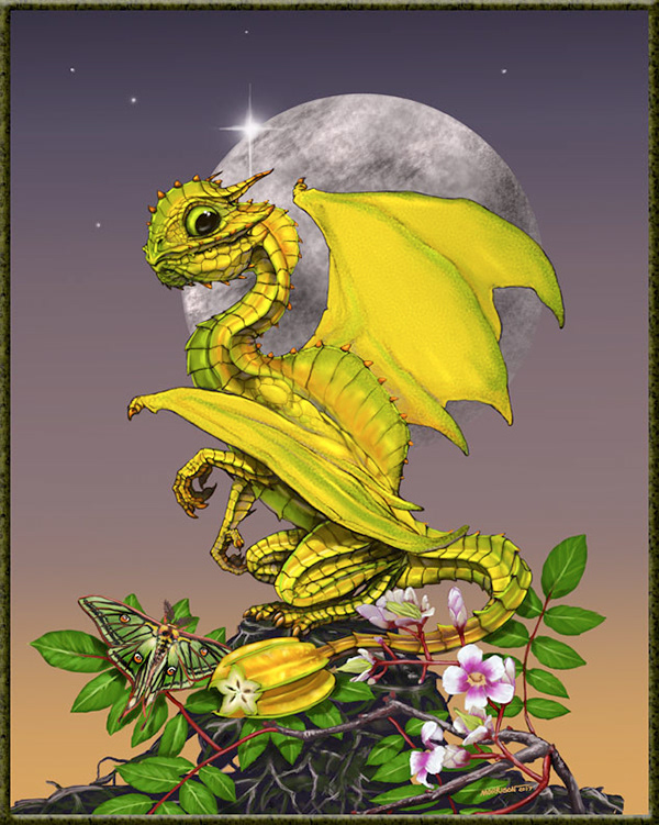 Stanley Morrison - Garden Dragons