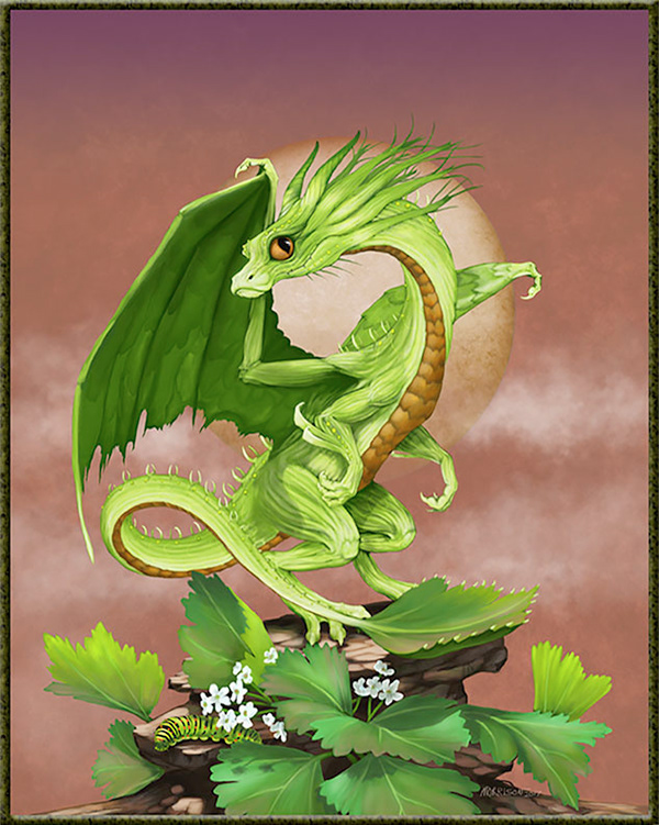 Stanley Morrison - Garden Dragons