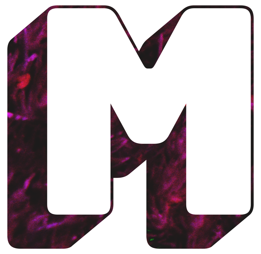 Myles Cain - Portfolio