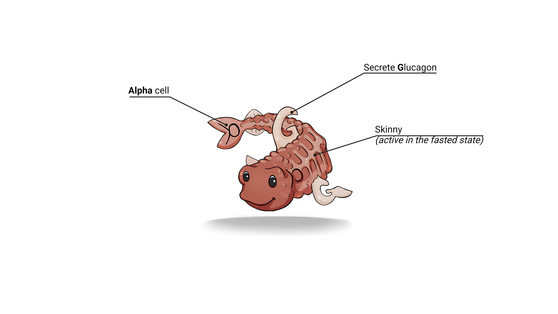 Medimon - Fun and Engaging Medical Science Learning Game - Pancreas ...