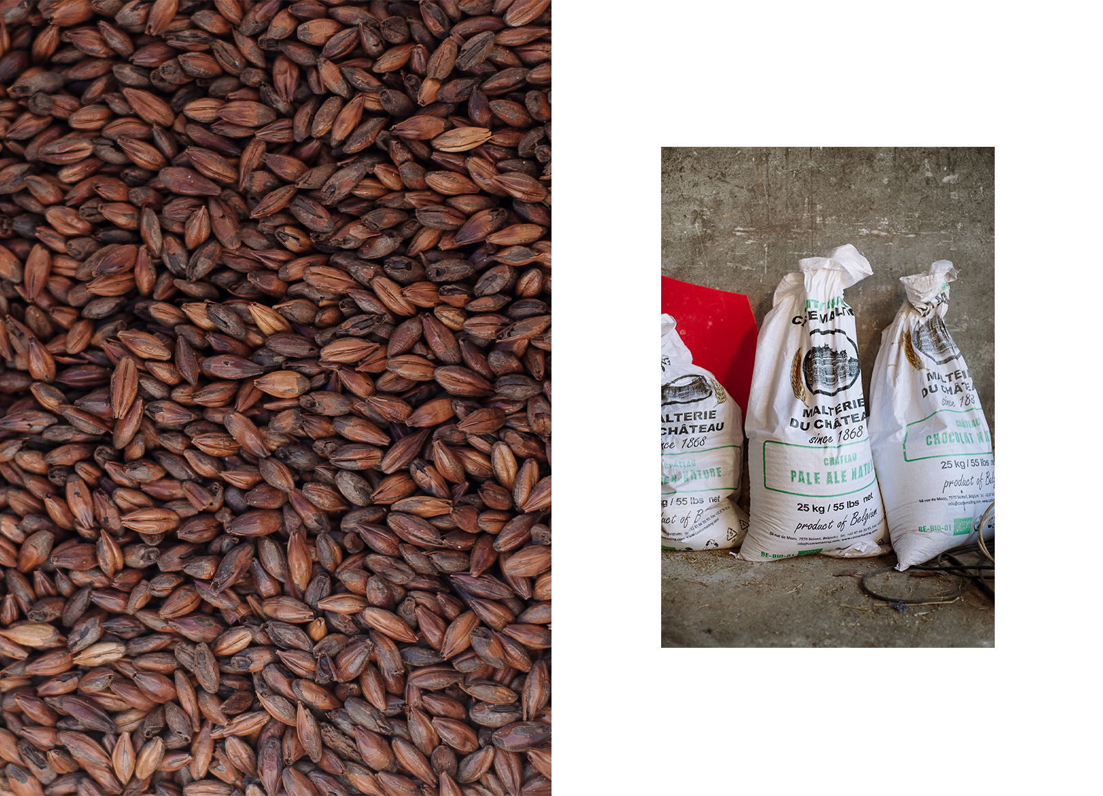 Luka Radek photographer - Kampanjola - Istrian organic craft beer