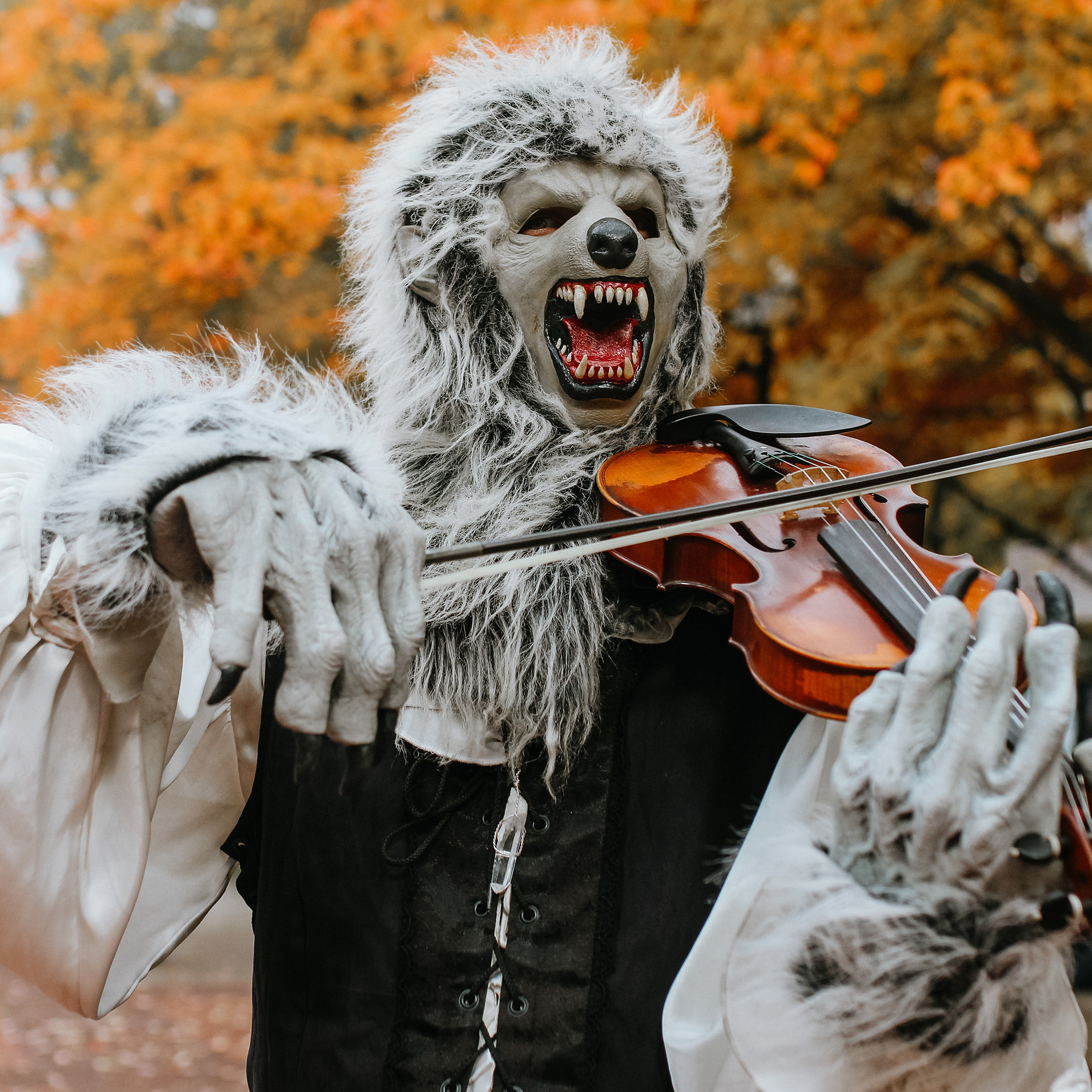 Rita Vega - Violin Monster