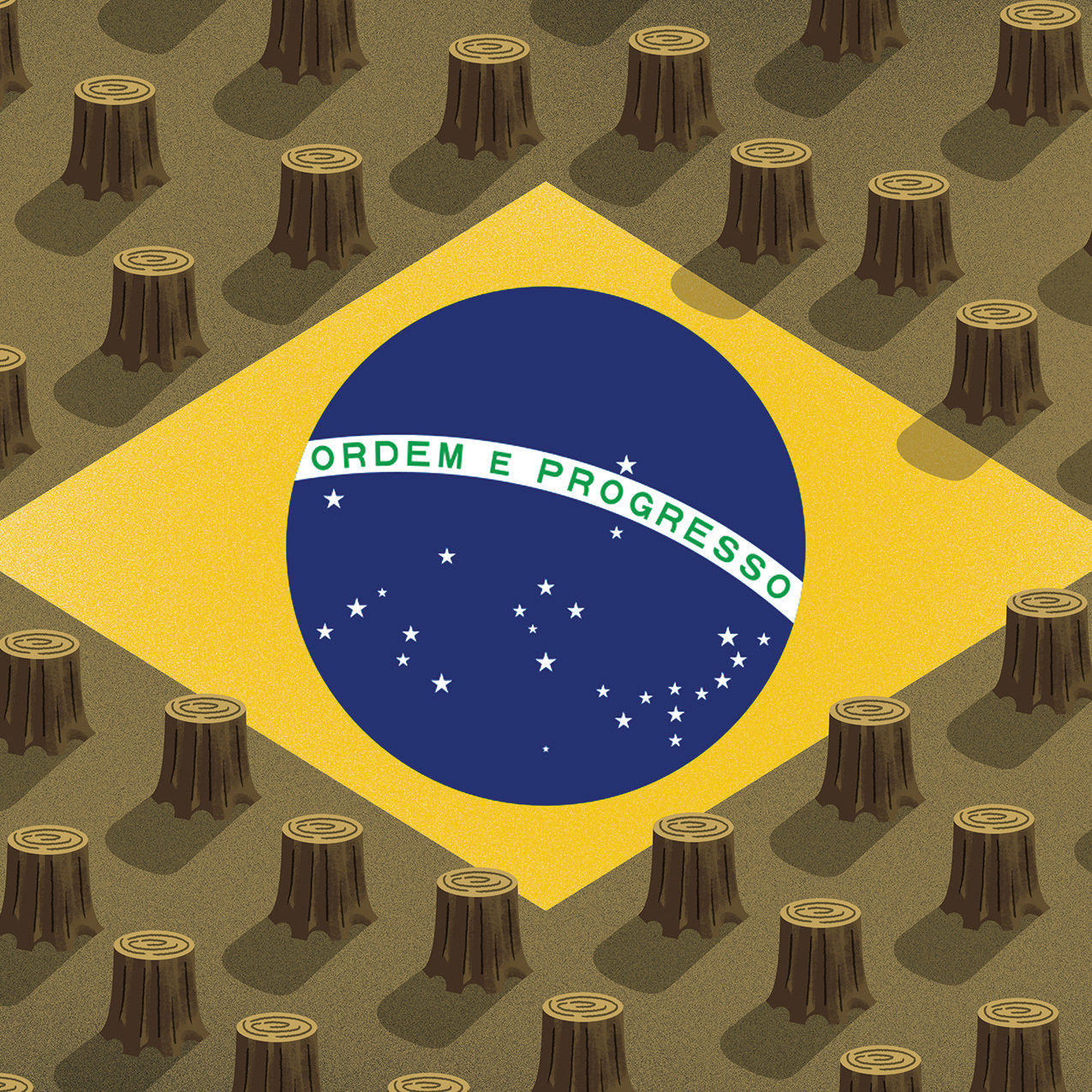 Lo Cole - illustration