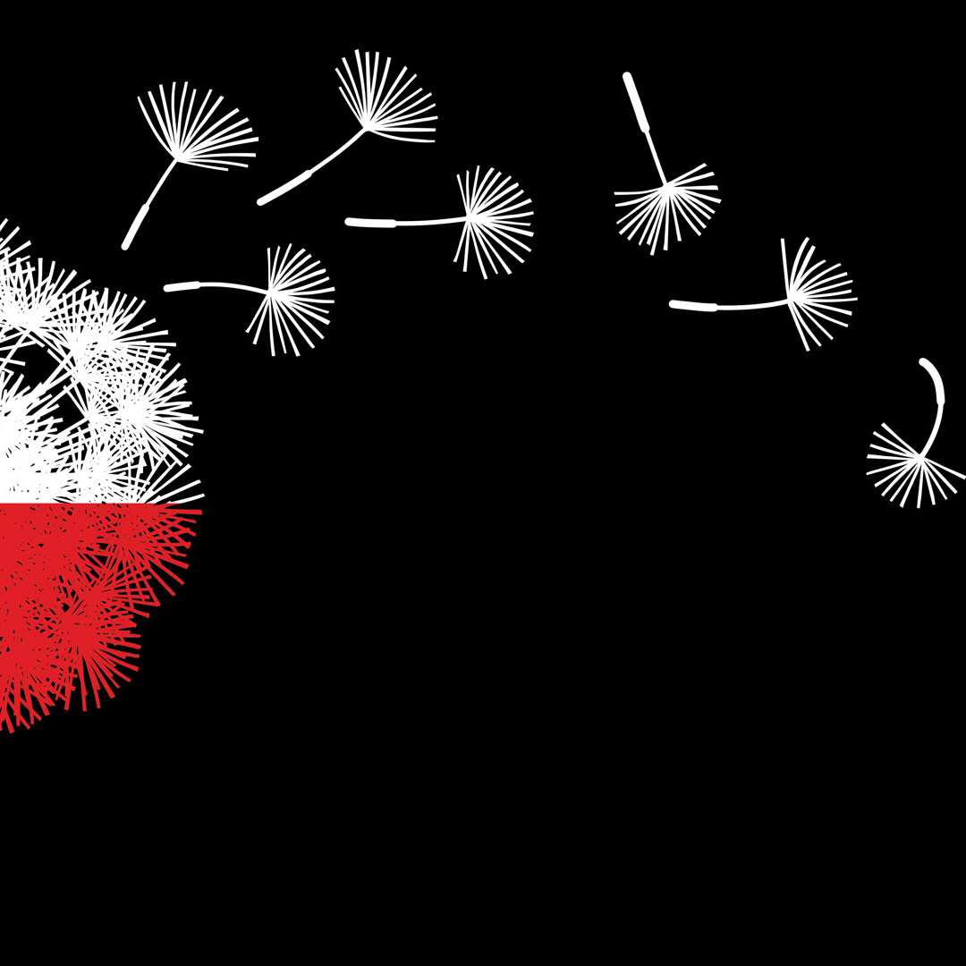 Lo Cole - illustration