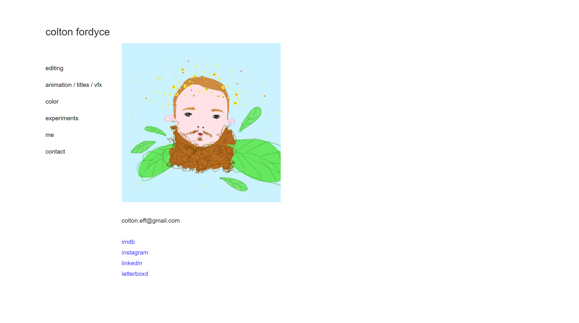 Colton Fordyce | Video Editor & Motion Designer - color