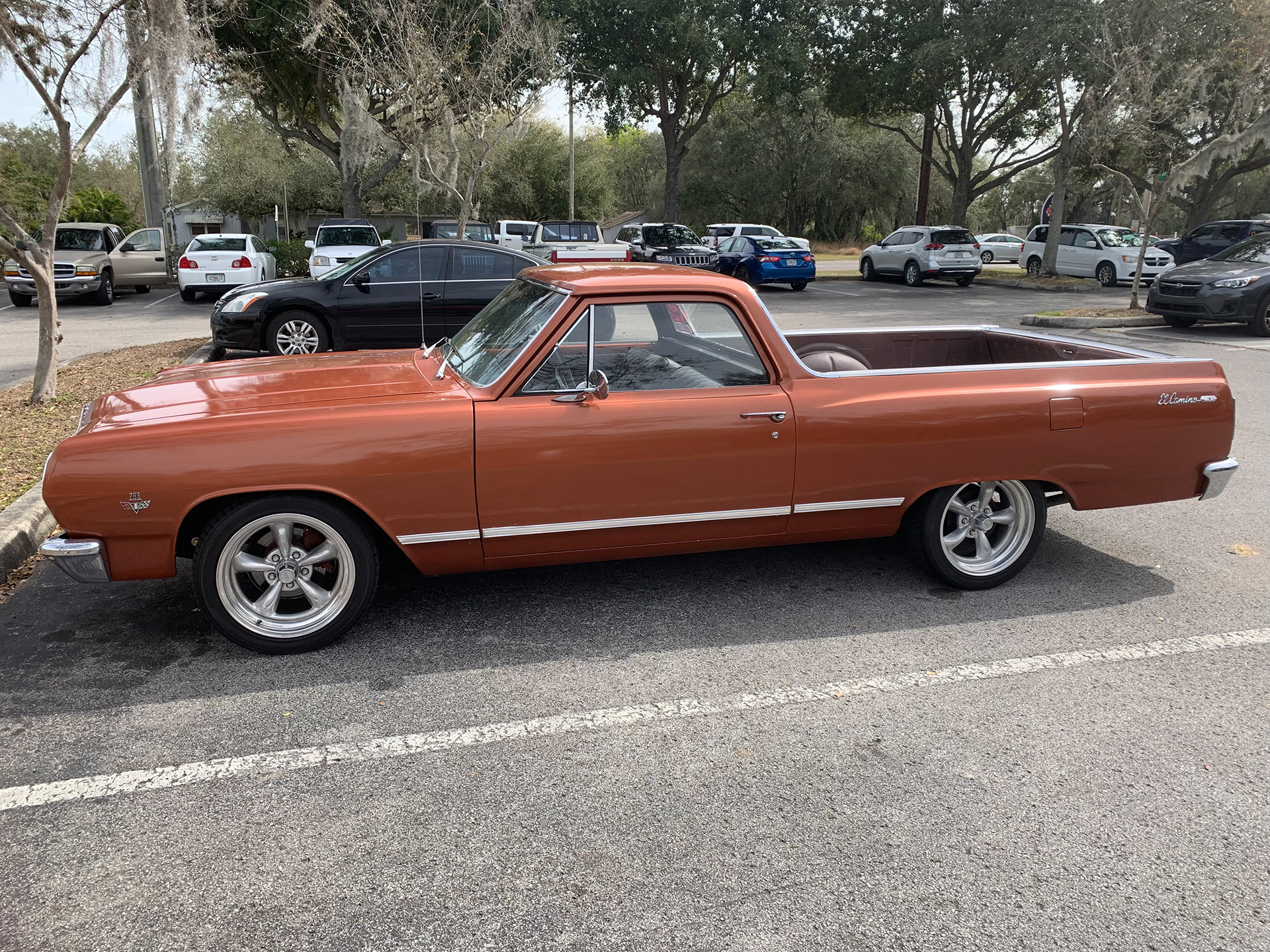 David Shearer - Ace Hardware Cars